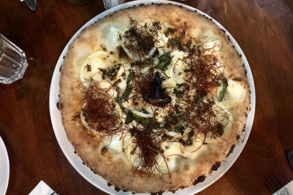 Ant-Covered Pizza Scheduled to Crawl Out This September - PMQ Pizza
